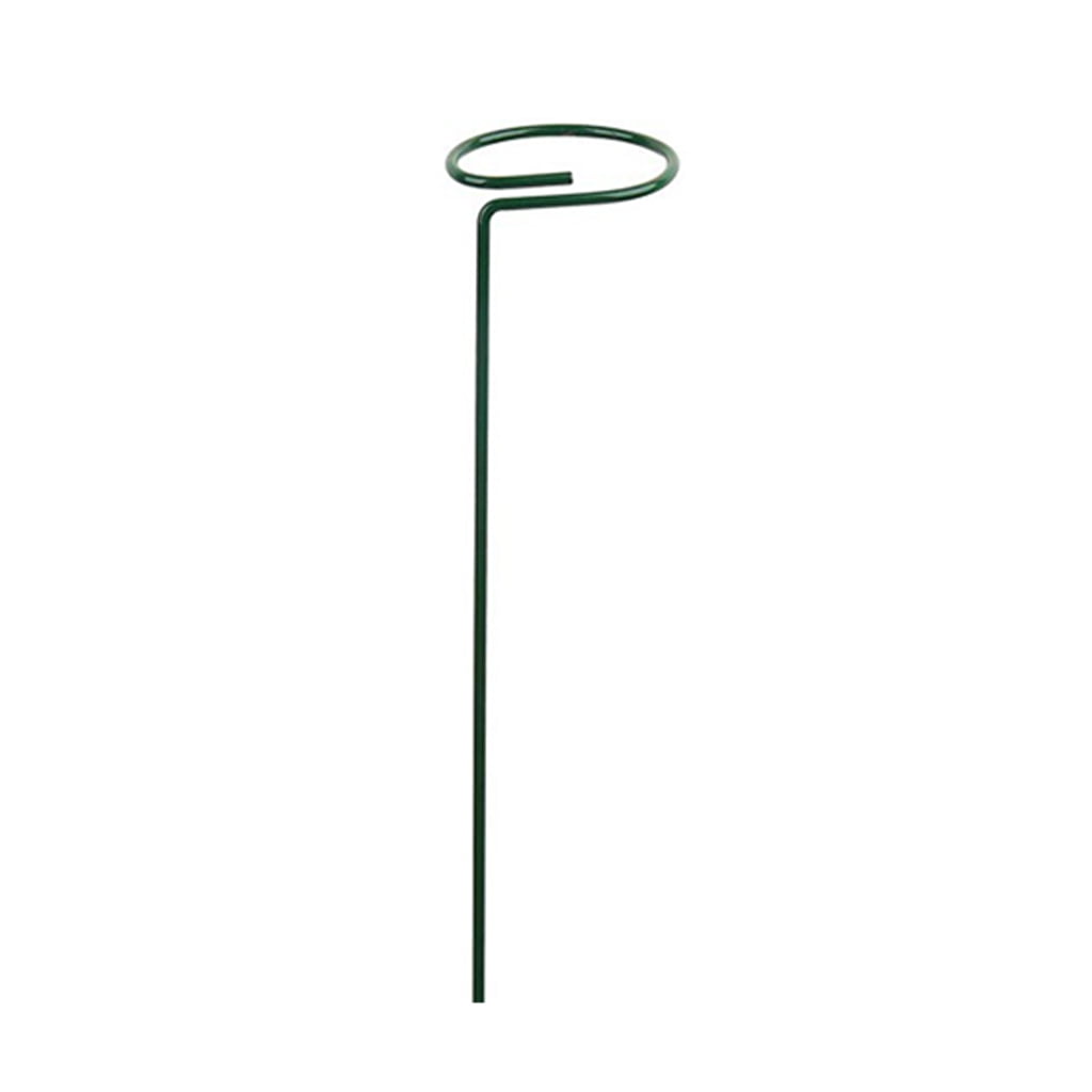 Ciwanning Garden Stake Metal Garden Plant Supports Single Stem Shrub ...