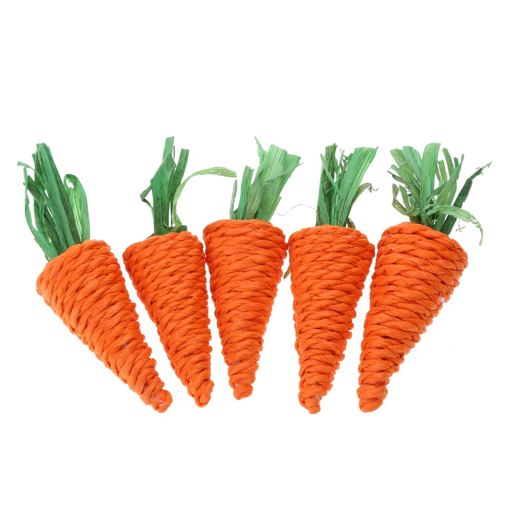 Ciwanning Grass Treat Rabbits Chew Toy Natural Grass Carrot Shape Toy ...
