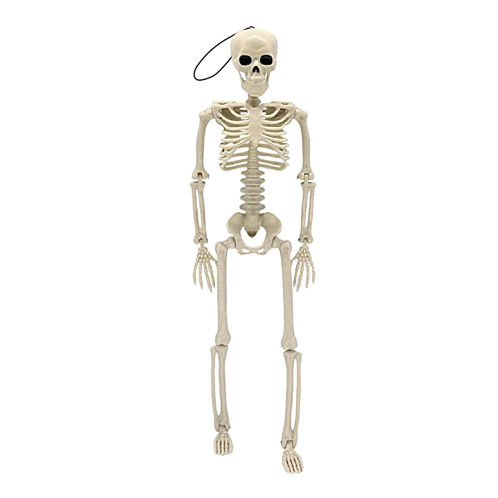 Ciwanning Moveable Skeleton Halloween Hanging Decorations Scary Decor ...