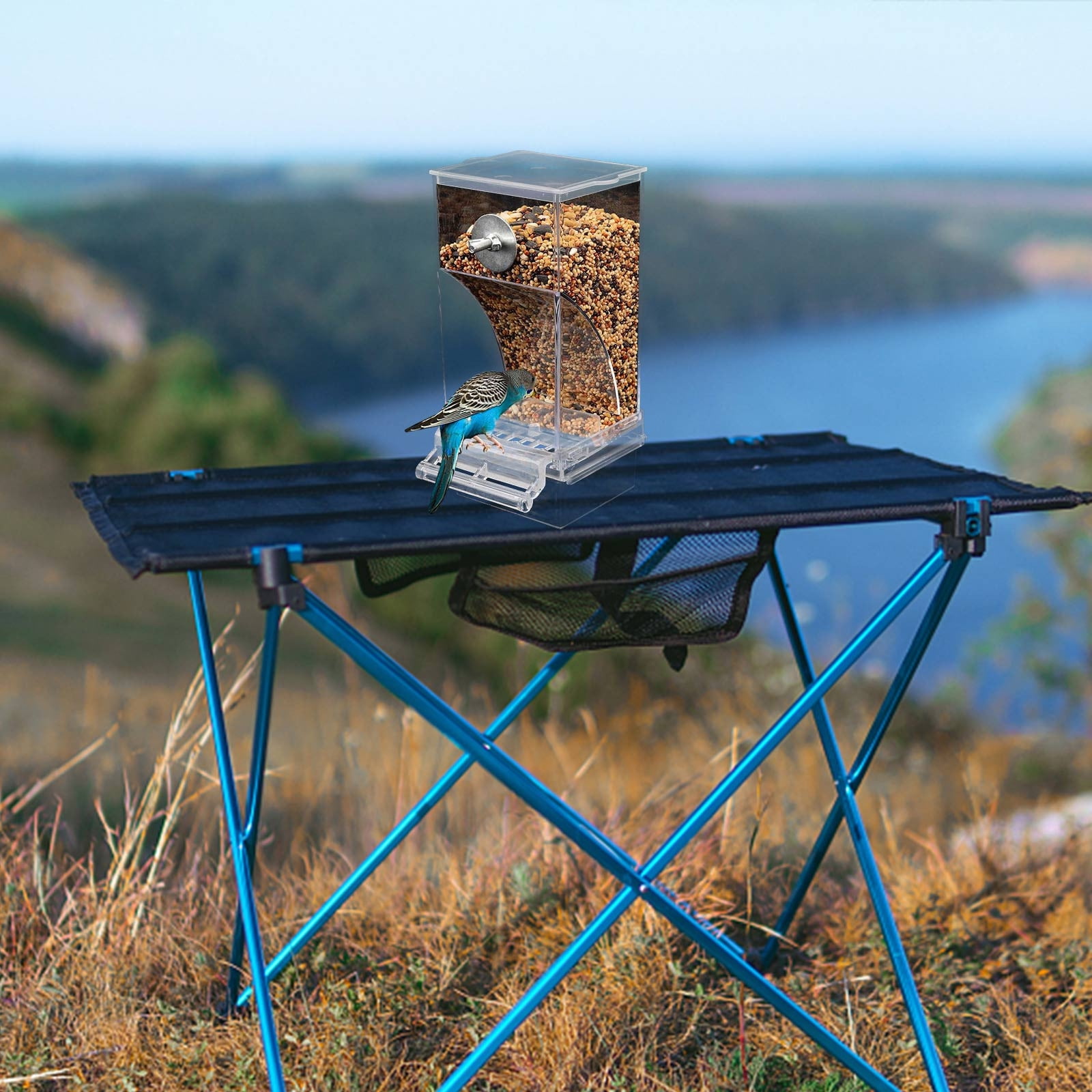 Ckraxd Automatic Pet Feeder, Bird Feeder Bowl, Anti-Splash and Anti ...
