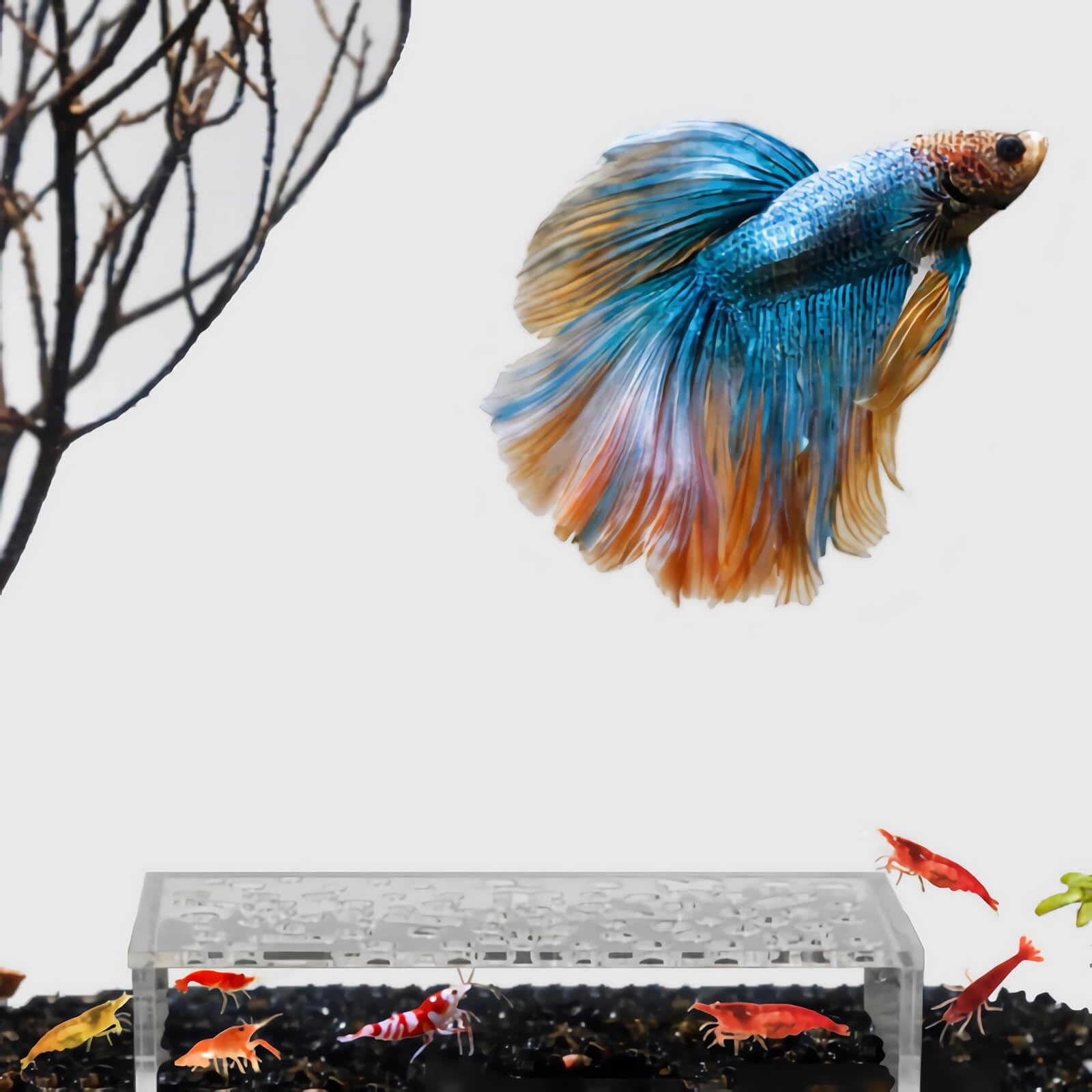 Beta Fish Tank WishLotus Ceramic Shrimp Cave, Aquarium Shrimp Hideout ...