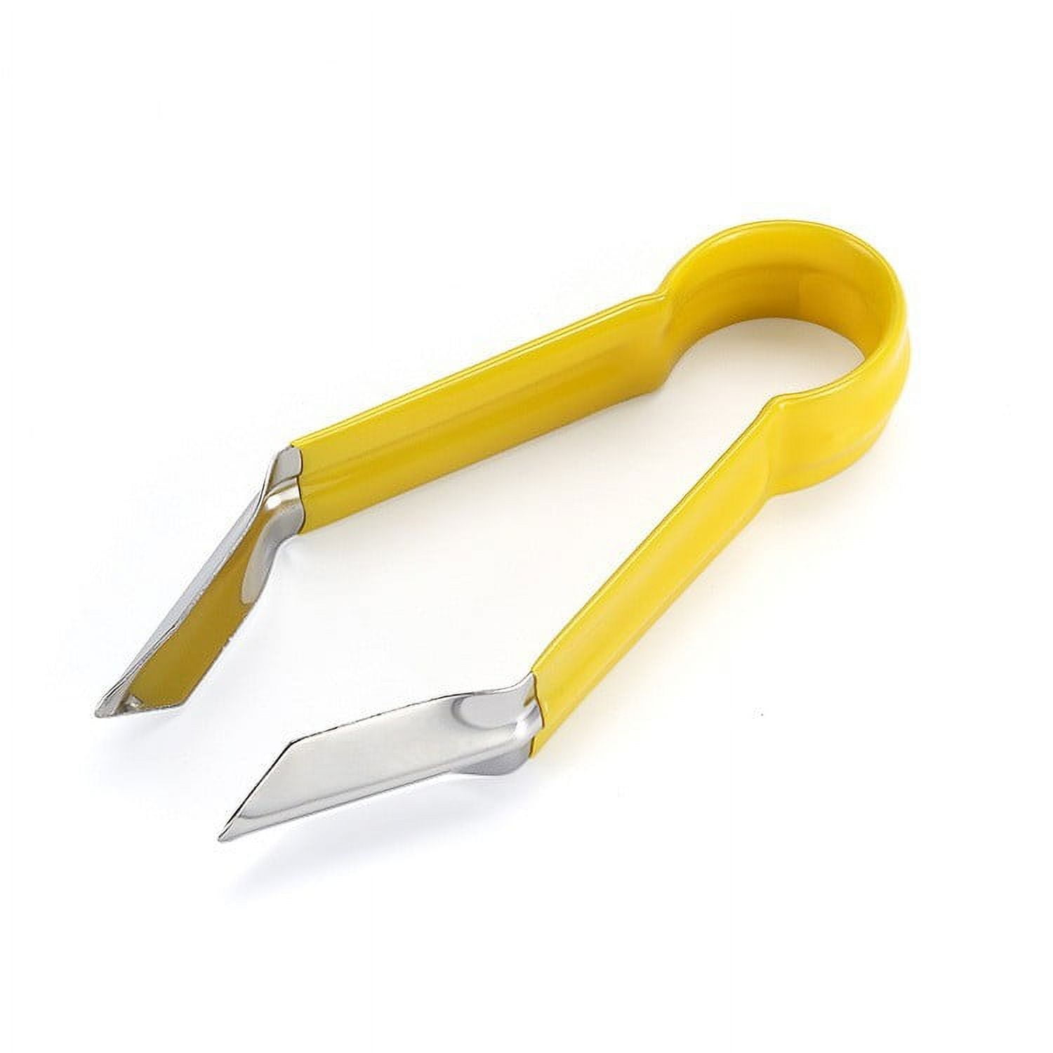 Ckraxd Stainless Steel Pineapple Corer & Strawberry Stem Remover Tool ...