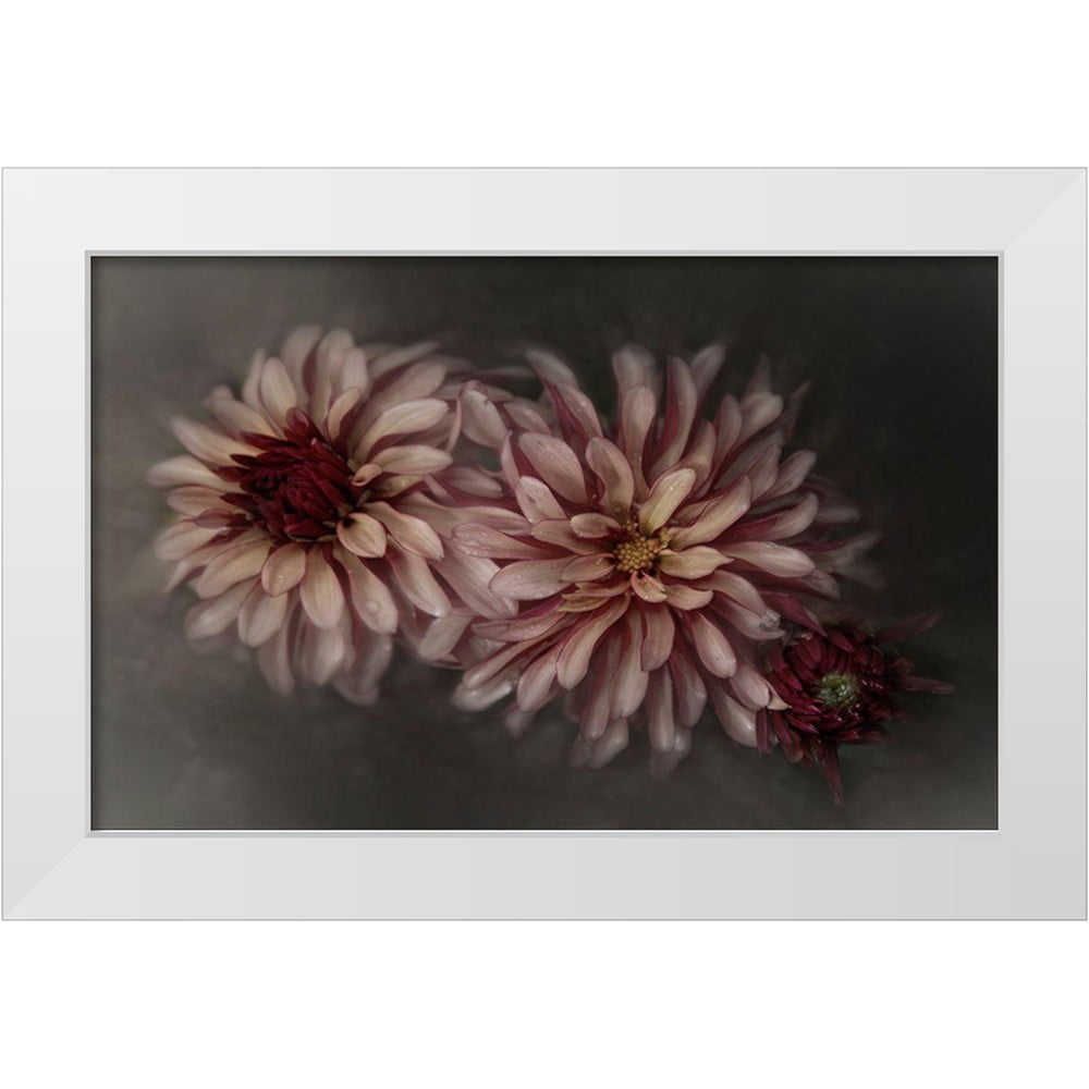 Claes, Gilbert 32x22 White Modern Wood Framed Museum Art Print Titled ...