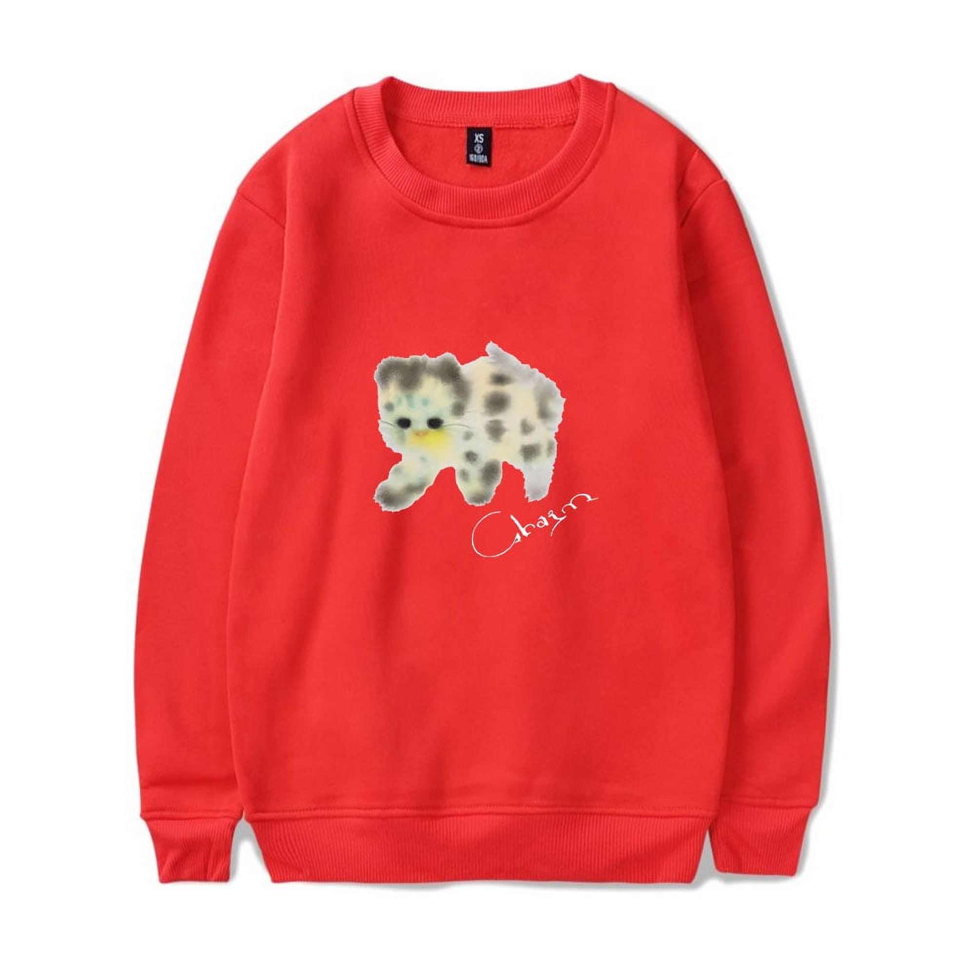 Clairo Charm Cat Long Sleeve Sweatshirts 2024 Tour New Logo Merch ...