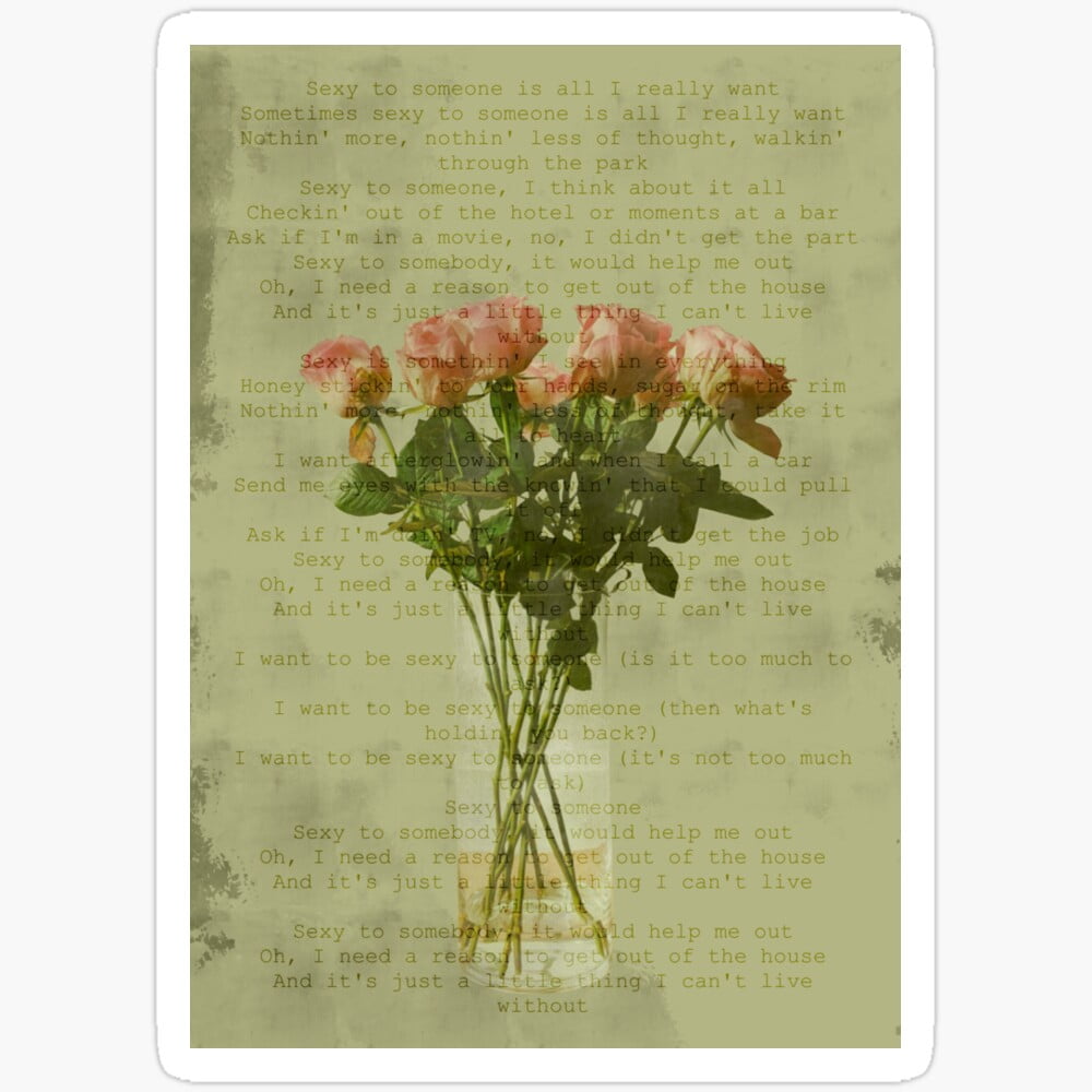 Clairo Lyrics Sticker Phone Decal Water Bottle Stickers Car Decals ...