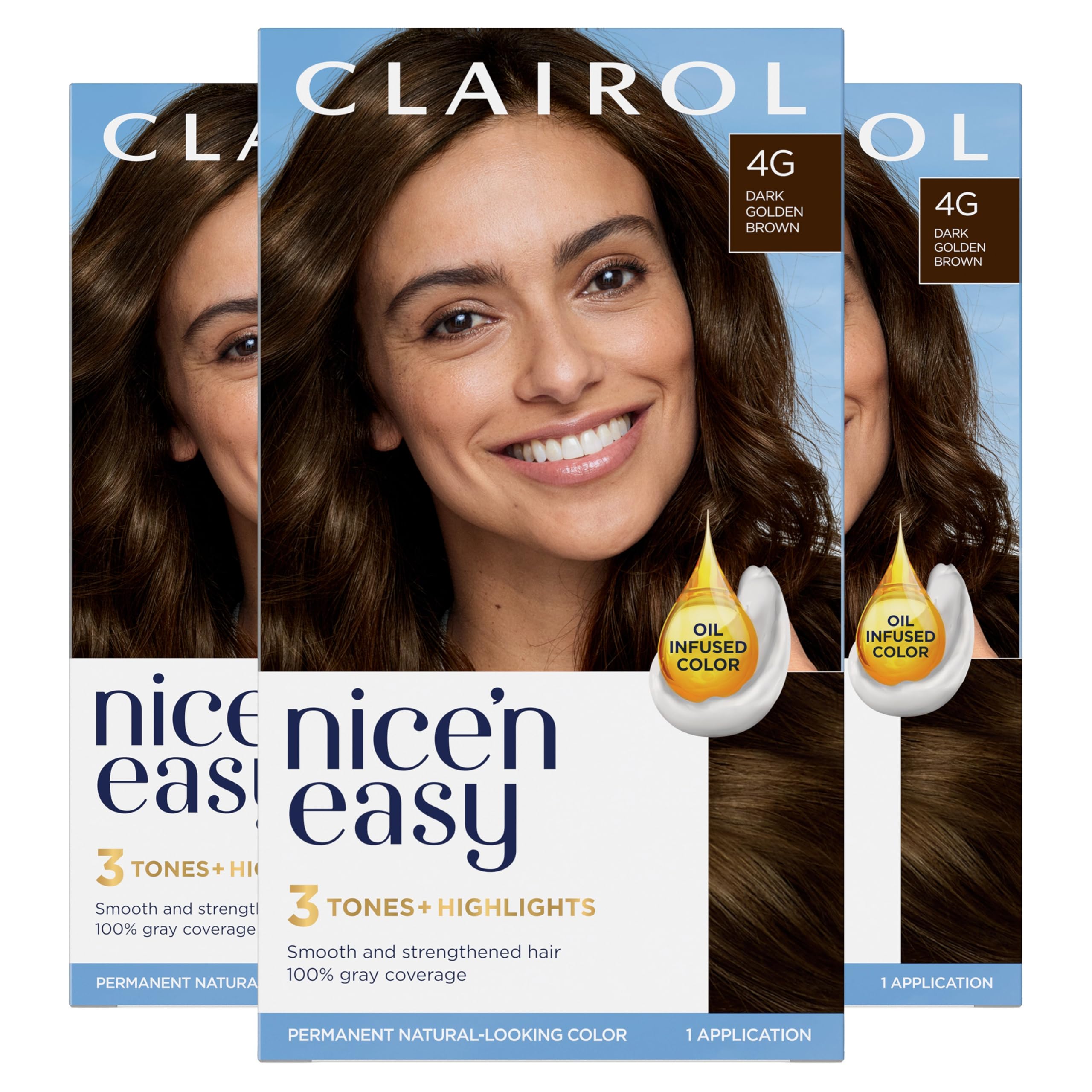 Clairol Nicen Easy Permanent Hair Dye, 4G Dark Golden Brown Hair Color ...