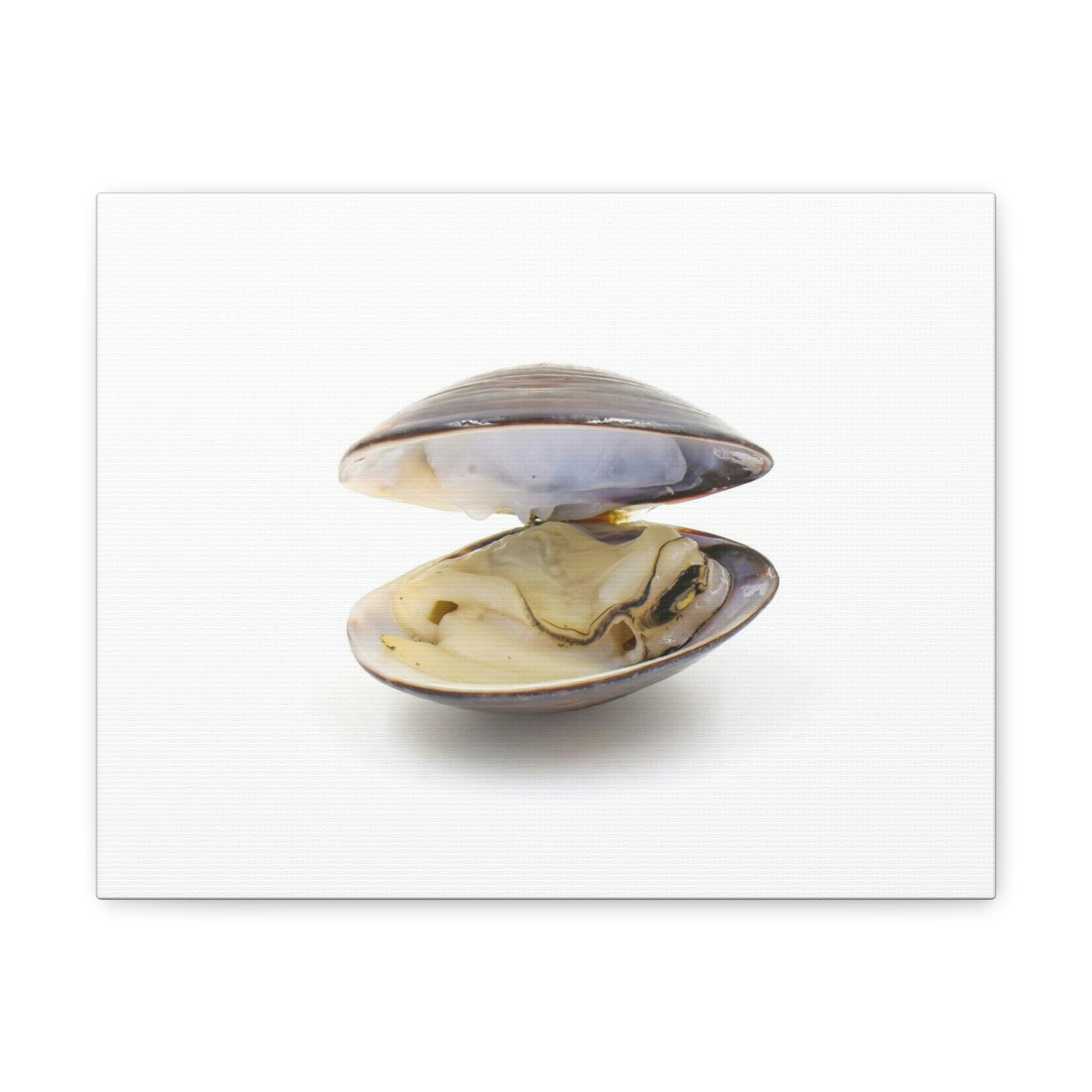 Clam Hunting Clam on Hunt Print Animal Wall Art Wildlife Canvas Prints ...