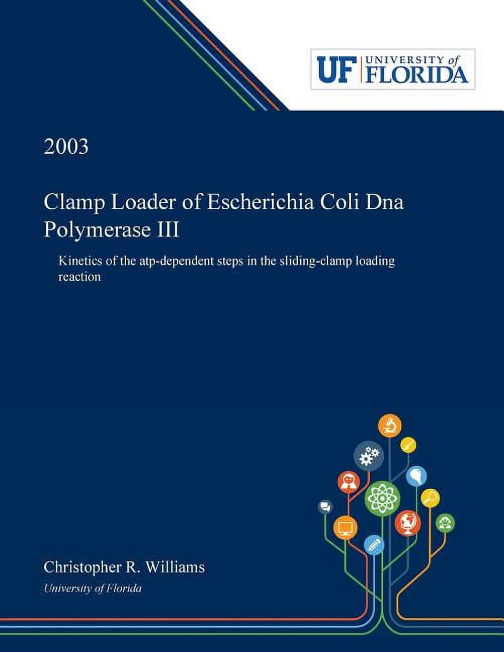Clamp Loader of Escherichia Coli Dna Polymerase III: Kinetics of the ...