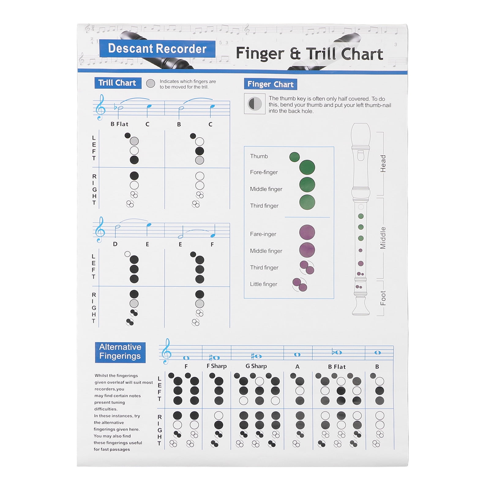 Clarinet Chord Fingering Chart 8 Hole Learning Aid Reference Music ...