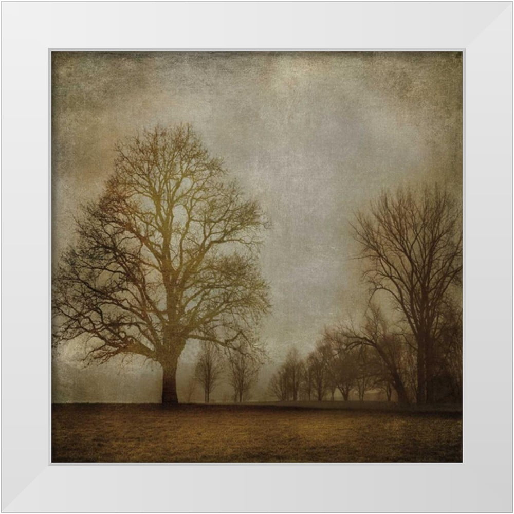 Clark, Madeline 12x12 White Modern Wood Framed Museum Art Print Titled ...