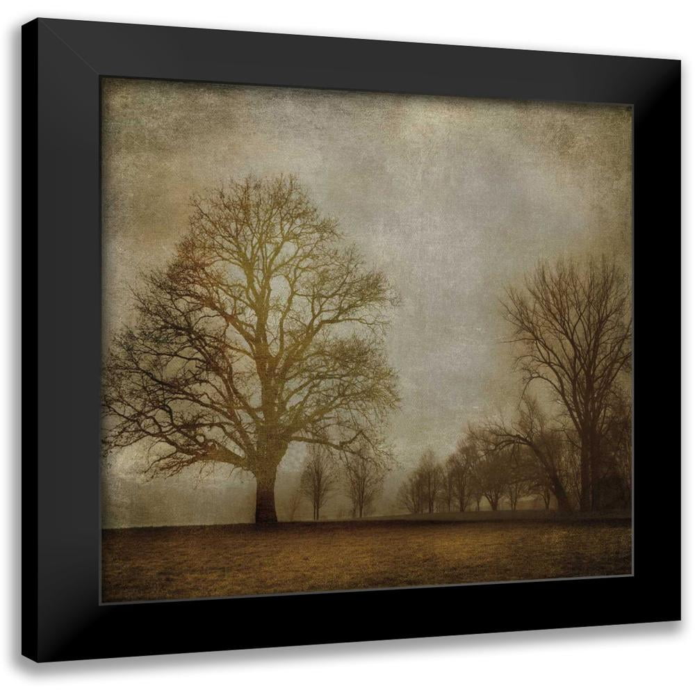 Clark, Madeline 15x15 Black Modern Framed Museum Art Print Titled ...