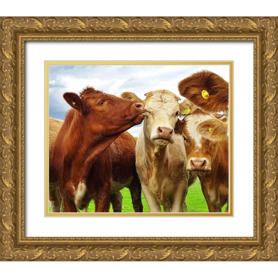 Clark, Ray 14x12 Gold Ornate Wood Framed with Double Matting Museum Art ...