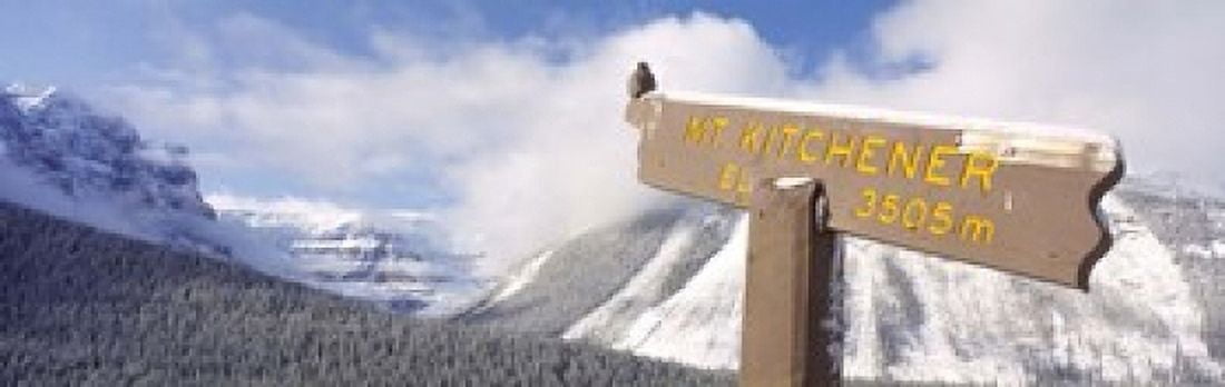 Clark's Nutcracker (Nucifraga columbiana) perching on mountain sign, Mt ...
