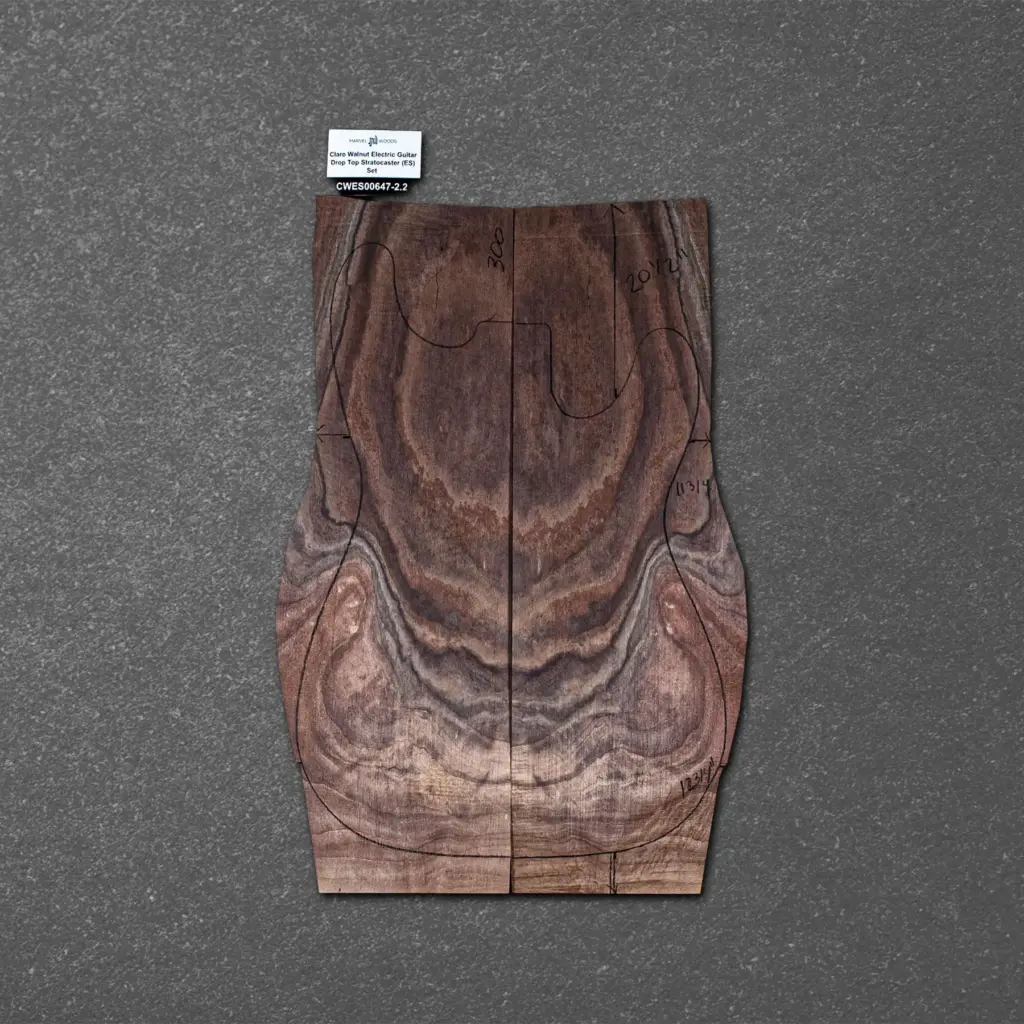 Claro Walnut Electric Guitar Drop Top Stratocaster (ES) Set ...