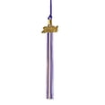 Class Act Graduation Graduation Tassel - Gold Charm - 3 Color, Purple ...
