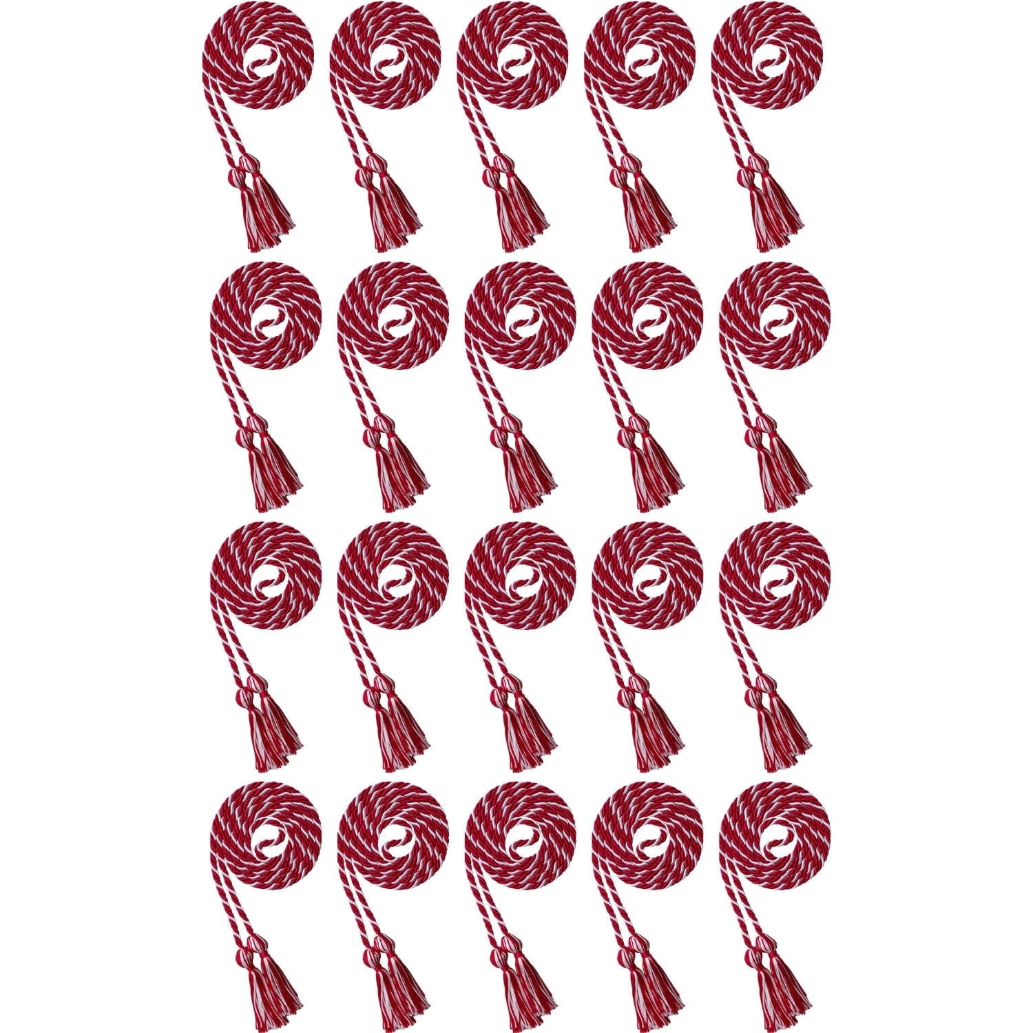 Class Act Graduation Honor Cords 60 Inch – 20 Pack Ceremony Cords for ...