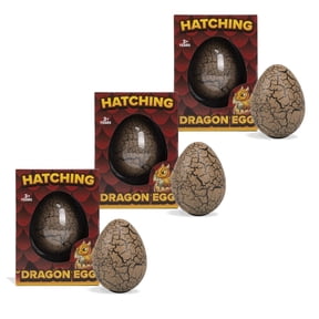 Real Dragons Eggs