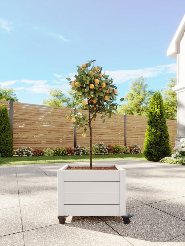 Classic 22" L x 18" W x 18" H Vinyl Planter with Wheels, White ...