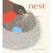 Baby's First Book of Birds & Colors (Board Book) - Walmart.com