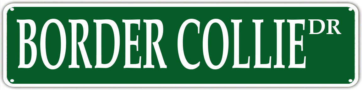 Classic Border Collie Dr Street Sign,Metal Road Sign For Indoor/Outdoor ...