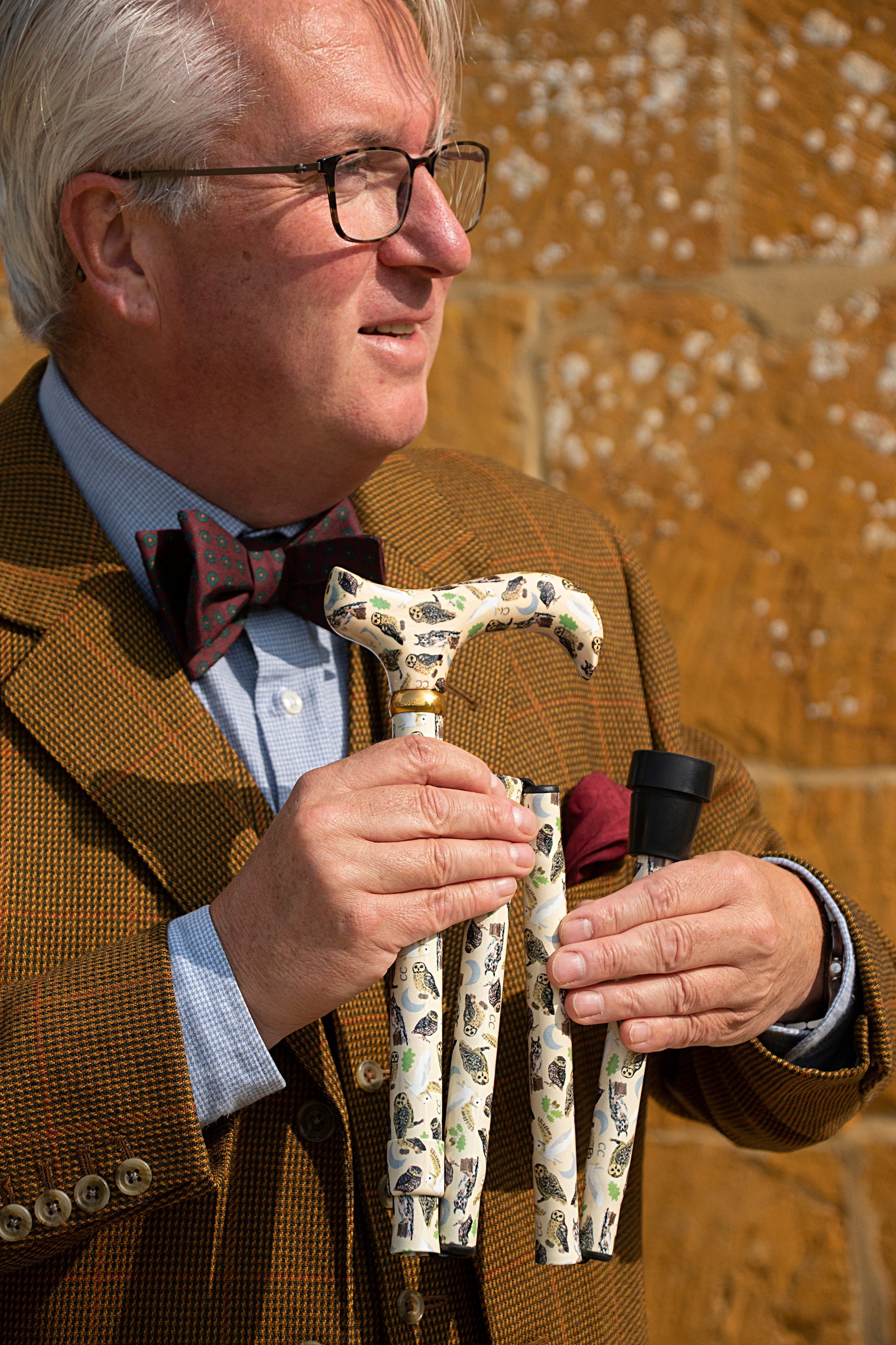 Classic Canes British Owls Design Folding Adjustable Walking Cane for ...