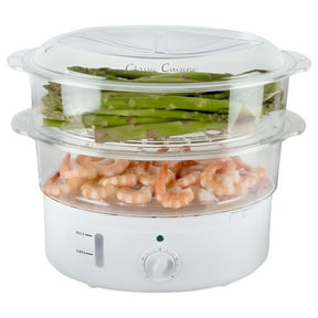 Small Electric Steamer