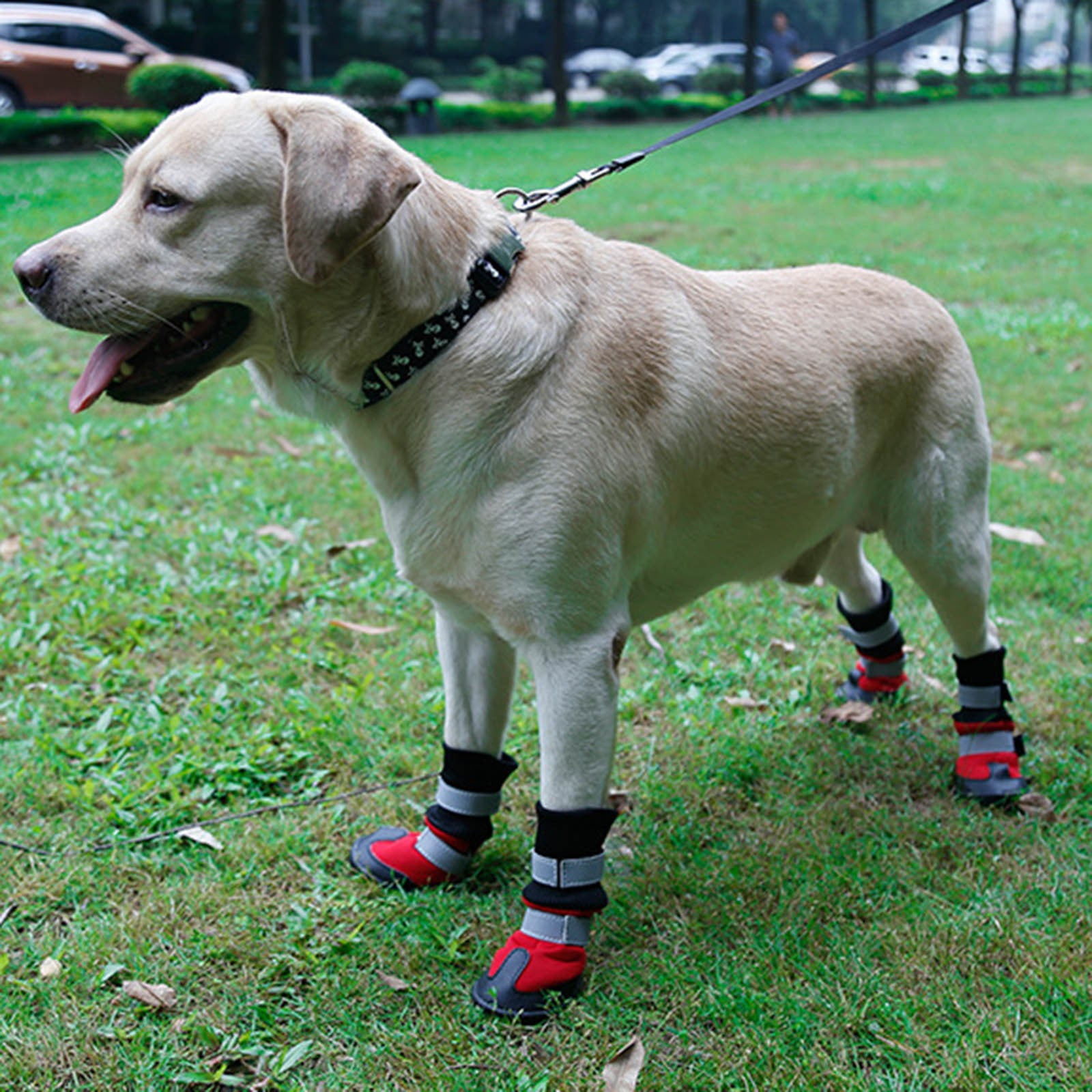 Classic Dog Shoes for Large Breeds Snow Boots Winter Outdoor Wearable ...