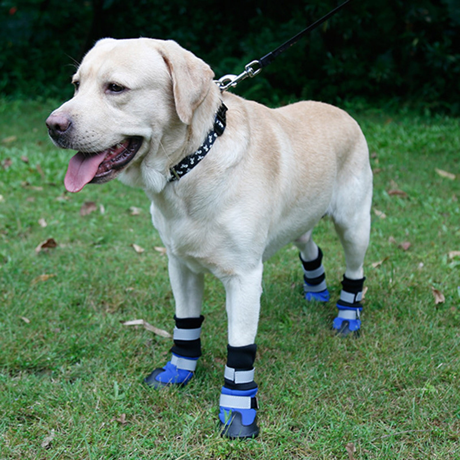 Classic Dog Snow Boots for Large Dogs - Durable and Stylish Footwear ...