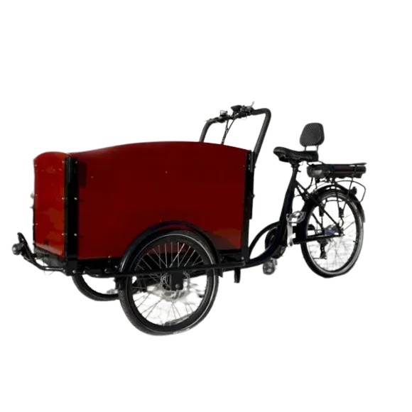 Cozytrikes Adult Bikes in Bikes - Walmart Business