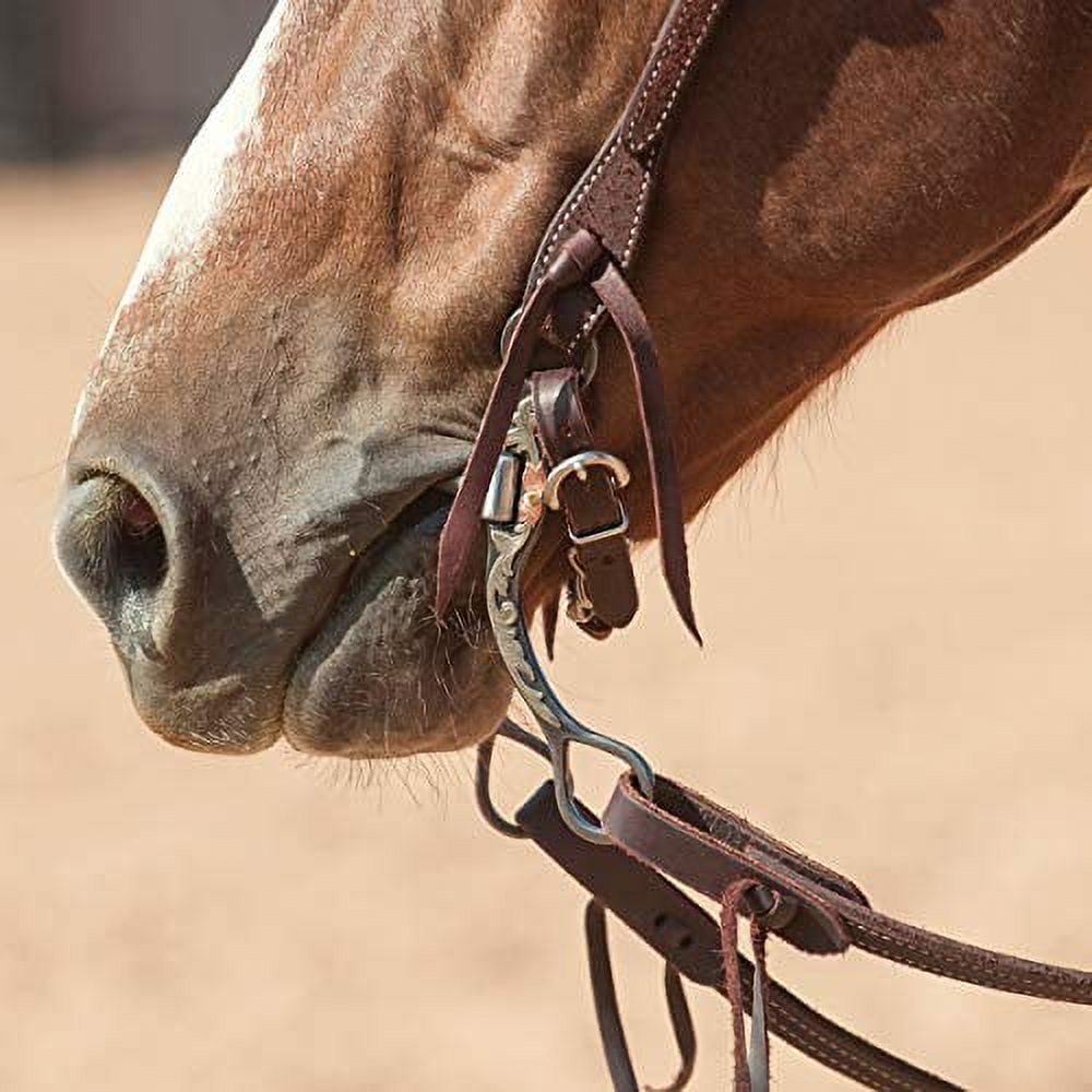 Classic Equine Floral Scroll Tool Box Straight Shank Bit with Low Port ...