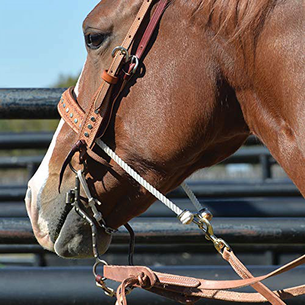 Classic Equine Joe Beaver Loose Cheek Shank Roping Bit with Low Port, 7 ...