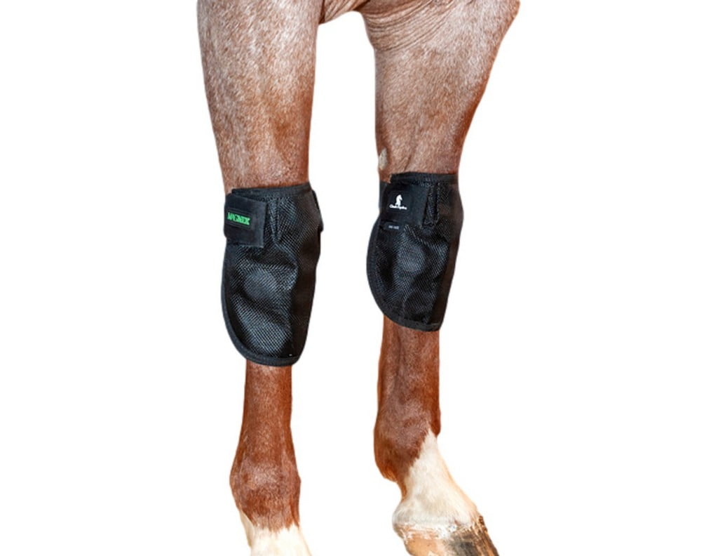 Classic Equine Knee Wrap MagNTX Increase Blood Flow Black EM22KW ...