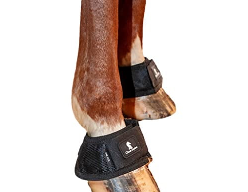 Classic Equine MagNTX Bell Boot - Walmart.com