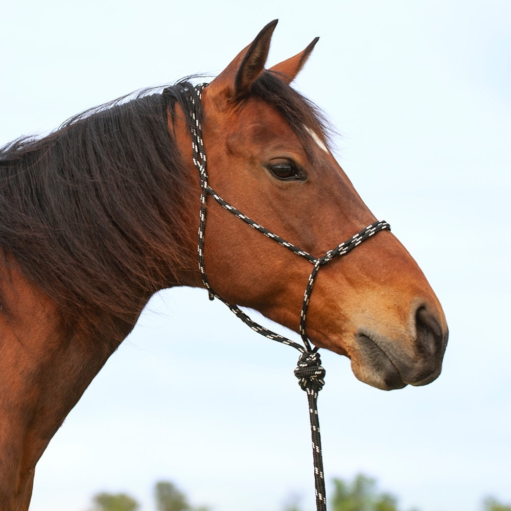 Classic Equine Weather Resistant Knotless Rope Horse Halter with 9ft Lead - Walmart.com
