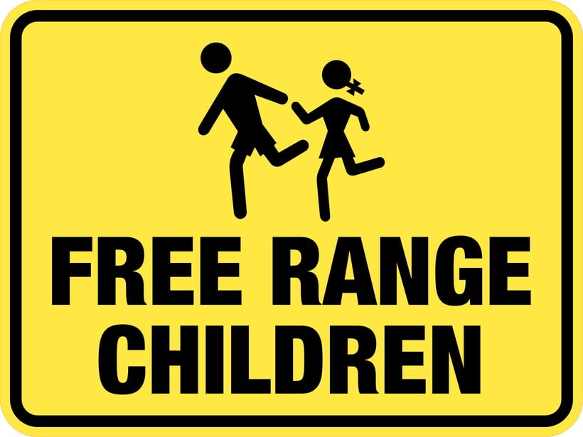 Classic Framed Plus Free Range Children Wall or Door Sign Novelty ...