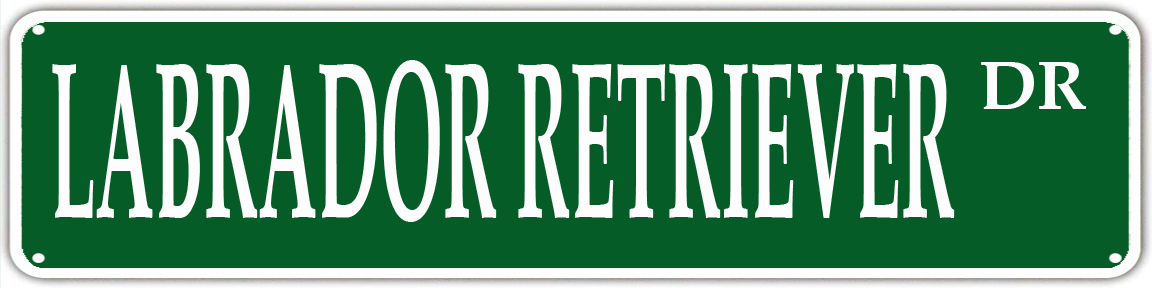 Classic Labrador Retriever Dr Street Sign,Metal Road Sign For Indoor ...