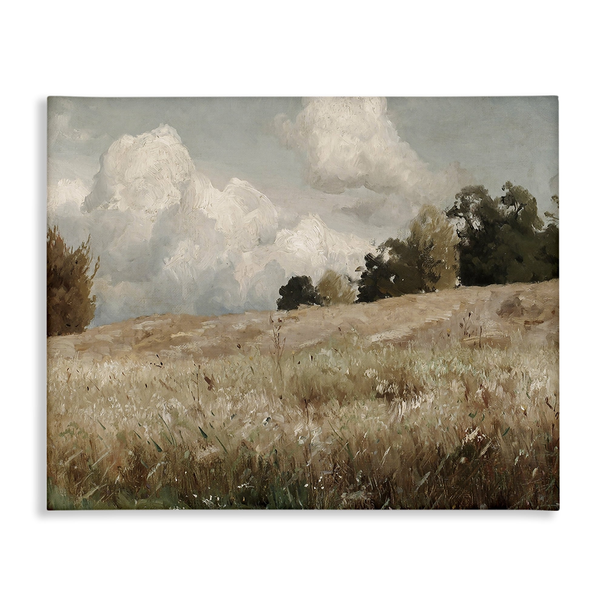 Classic Cloudy Field Landscape Canvas Art, 30 x 24, Design By Artist ...