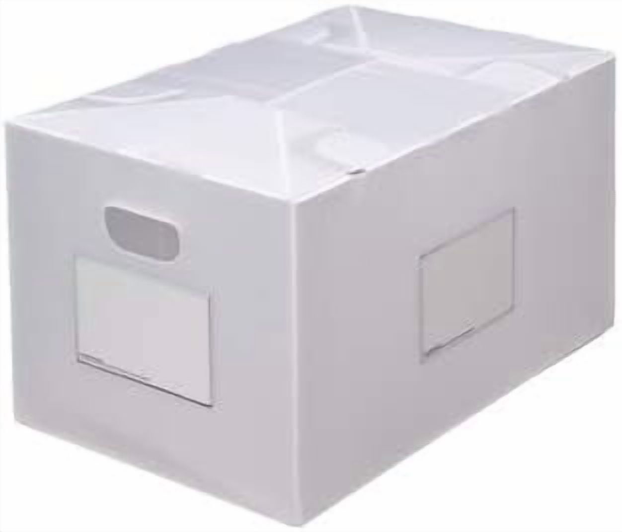 Classic PackAways Reusable Plastic Storage Box Collapsible Tote ...