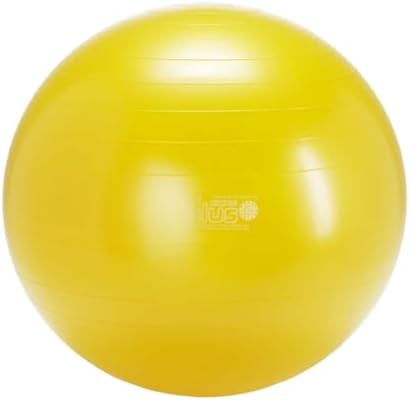 Classic Plus Burst-Resistant Exercise Ball - Walmart.com