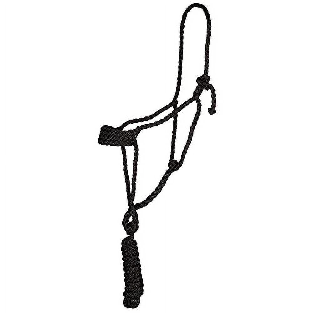 Classic Rope Company Wide Nose Mule Tape Halter with Lead Rope Tan N/A ...