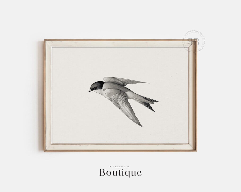 Classic Swallow Bird Print - Antique Bird Illustration Wall Art, Nature ...
