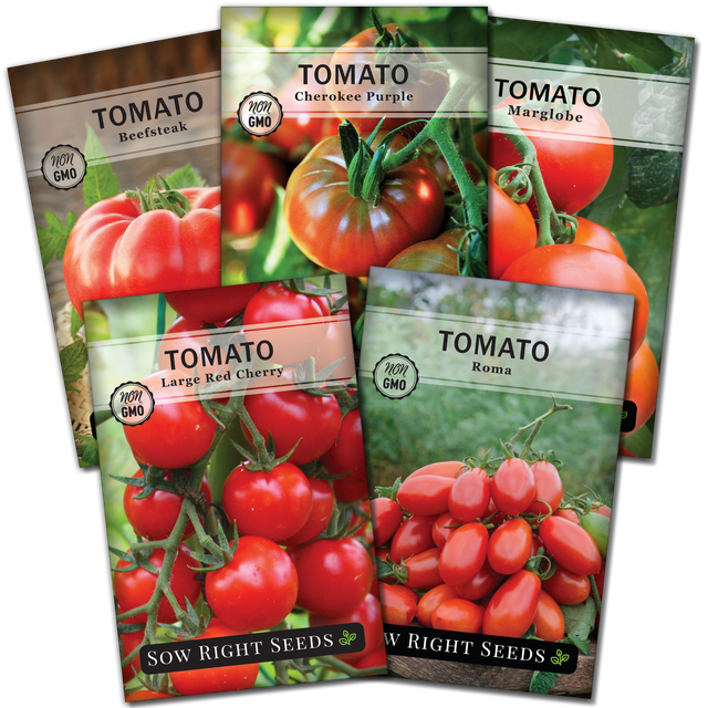Sow Right Seeds Heirloom Roma Tomato Vegetable Planting - Classic Non ...
