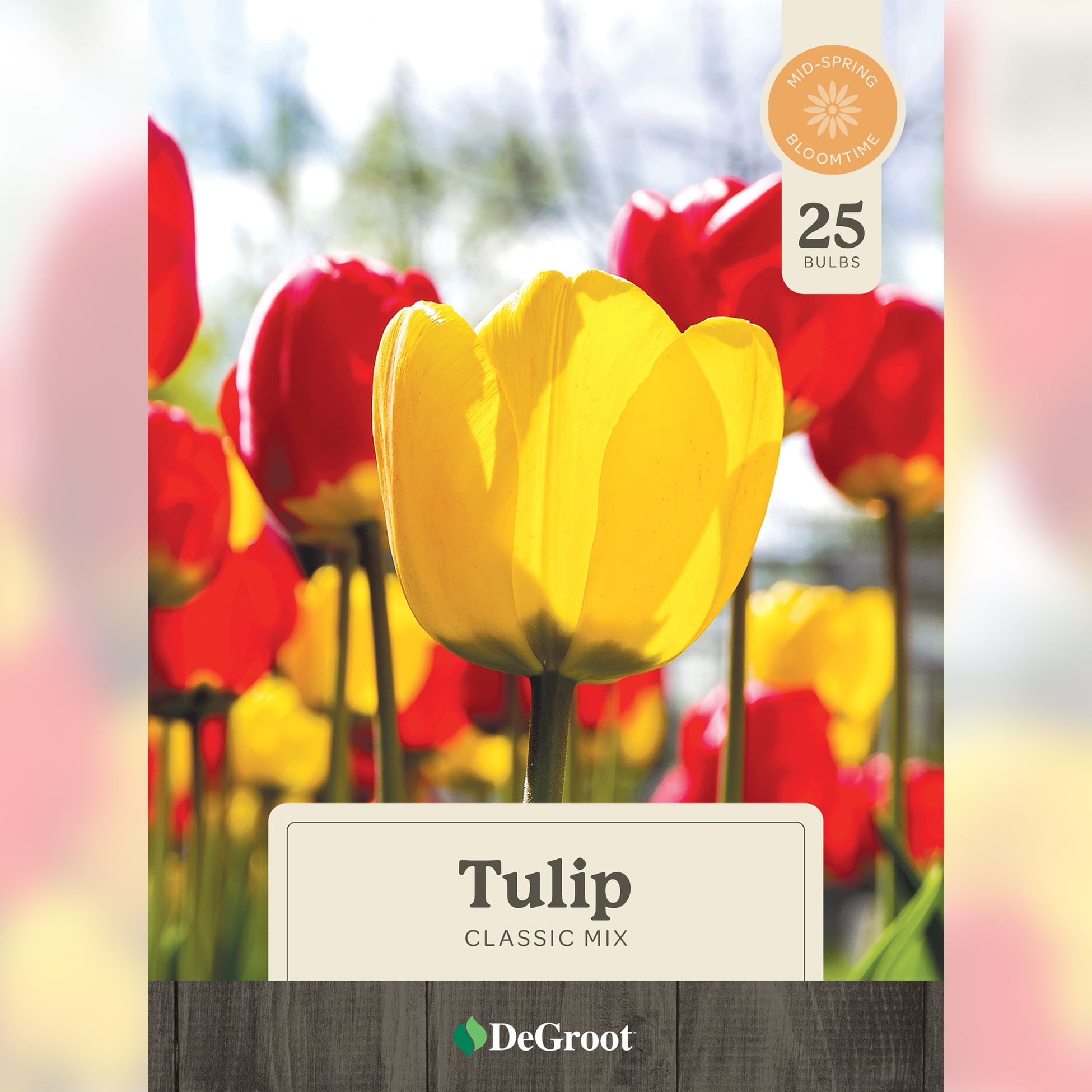 DeGroot Classic Tulip Bulb Mix, 25 Count, Bold Red and Yellow Blooms ...