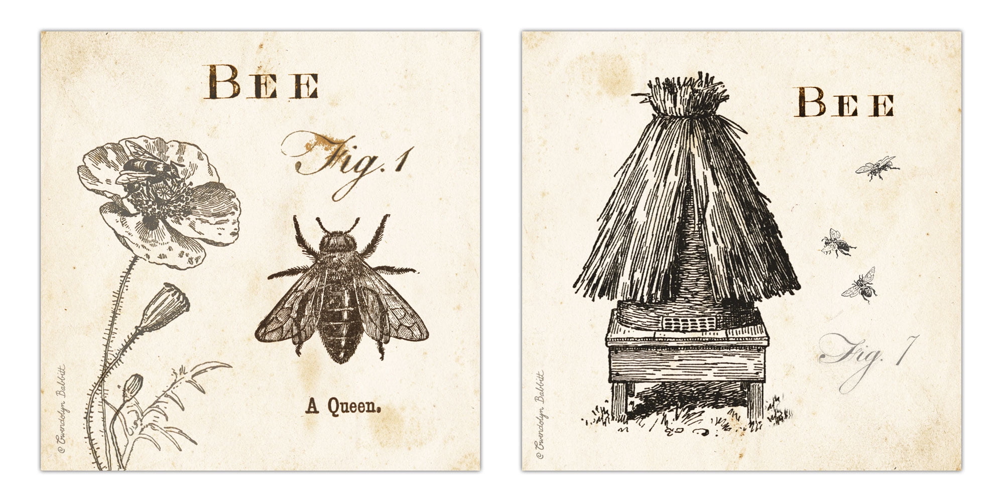 Classic Vintage Ephemera Queen Bee and Bee HIVe Print Set; Two 12x12in ...