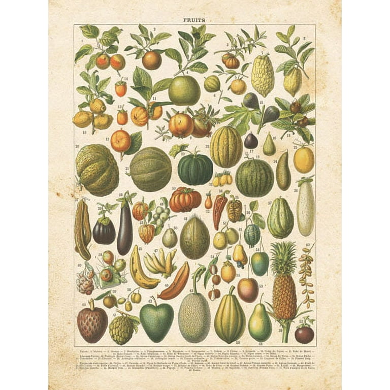 fruit posters