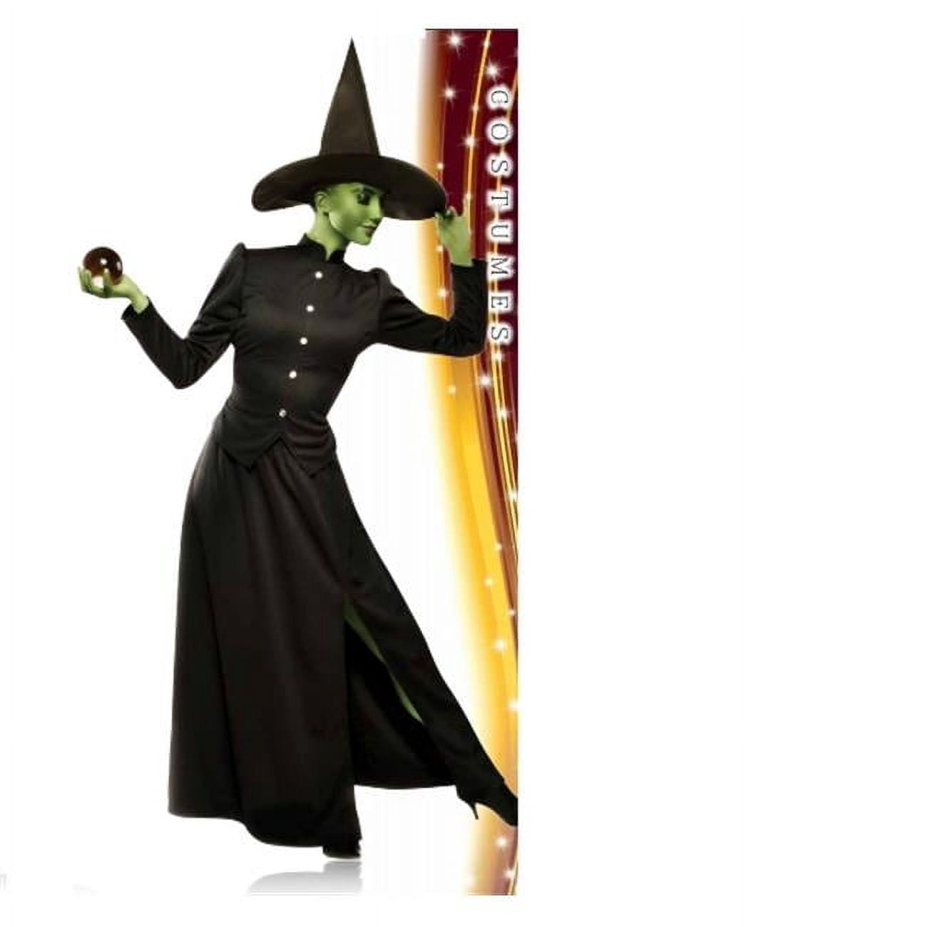 Classic Witch Top & Skirt Costume for Adult - Large - Walmart.com