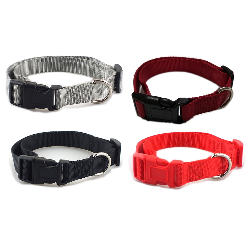 Classic solid dog collar in multiple colors - C - Walmart.com