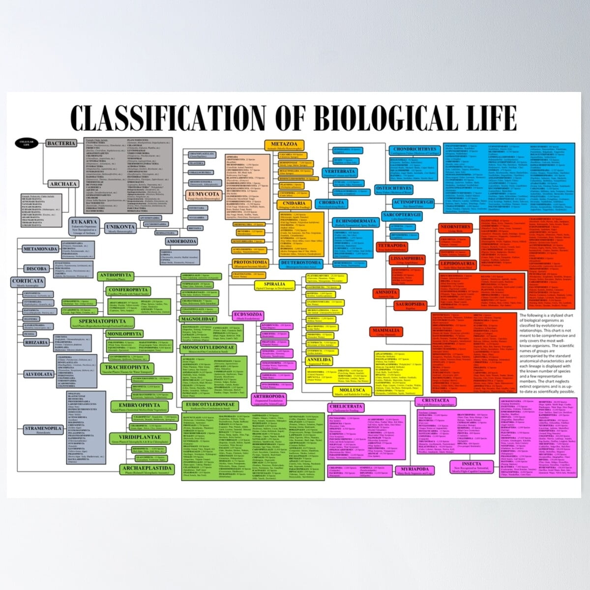Classification Of Biological Life Poster Poster Wall Art, Modern Wall ...