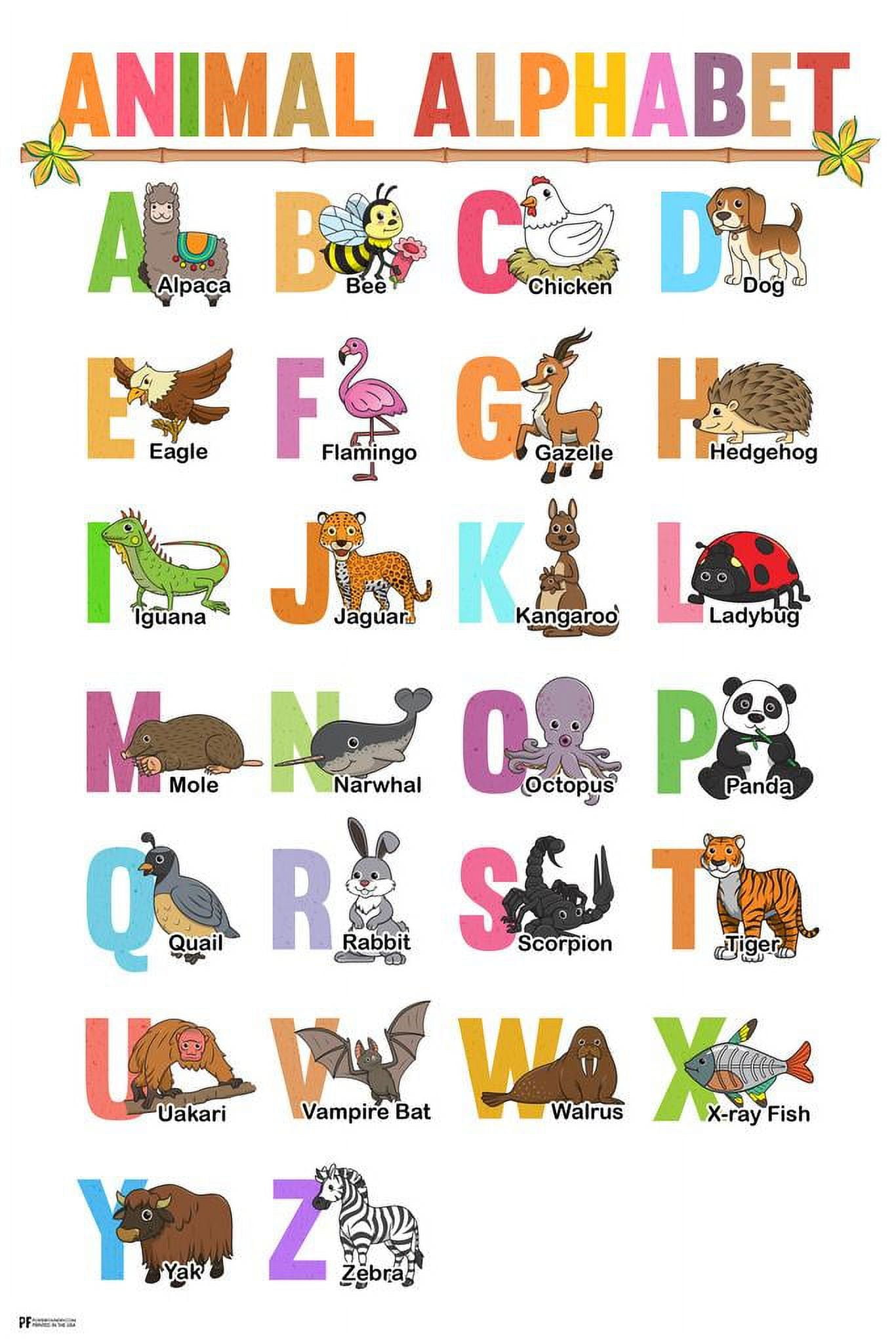 Classroom Alphabet Poster Chart Teacher Supplies For Classroom School ...