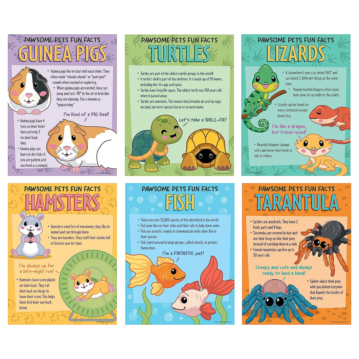 Classroom Pets Posters - 6 Piece - Walmart.com